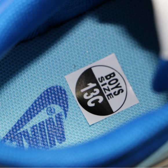 Nike | Shoes | Nike Dunk Low Retro Qs Ps Argon 222 Sneakers Preschool ...